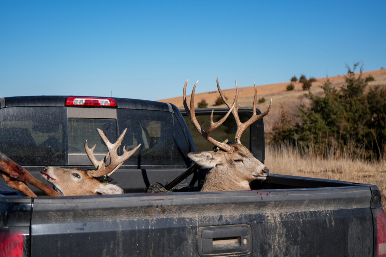 Deer Harvest Photos - REDDOG OUTFITTERS